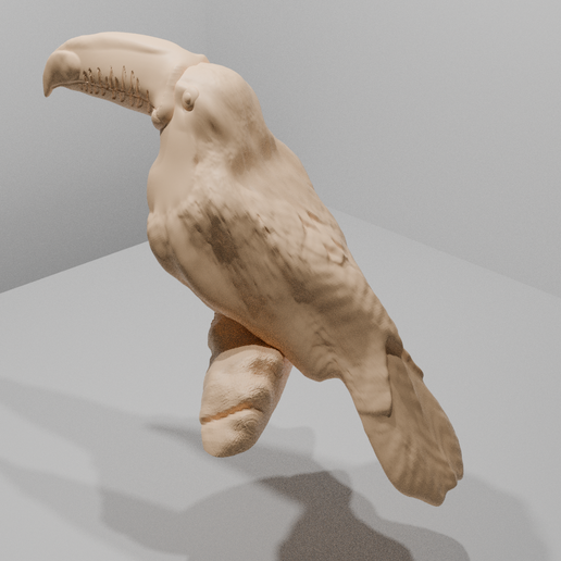 STL file A Toucan Bird (Tucano) 🐦 ・3D printer model to download・Cults