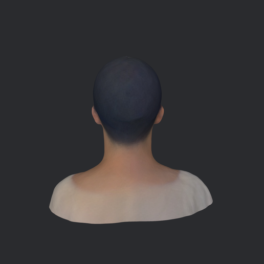 👤 P Diddy-bust/head/face ready for 3d printing・ 3D File for 3D printing ...