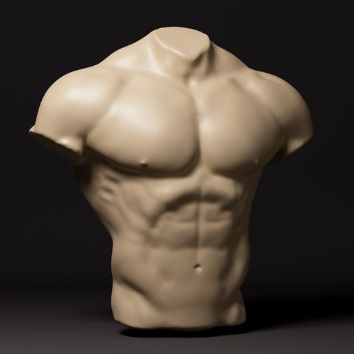 ♂️ Male Torso・ STL File for 3D printing・Cults