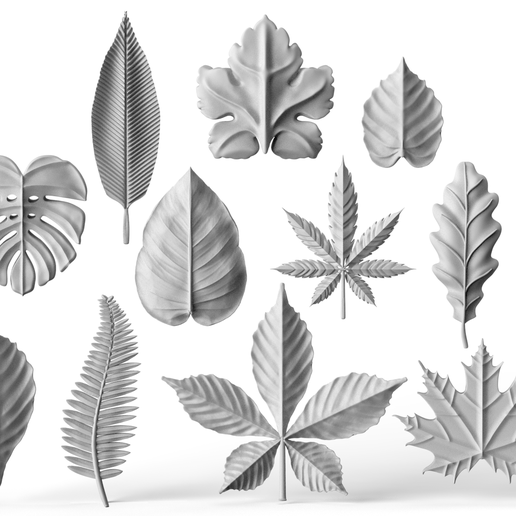 🍁 leaves・ STL File for 3D printing・Cults