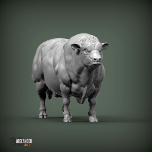 STL file Belgian Blue bull 3D print model 🐂 (OBJ)・3D printing design to ...