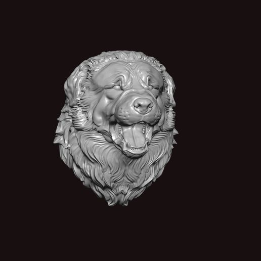 🐕 newfoundland dog face bust・ STL File for 3D printing・Cults