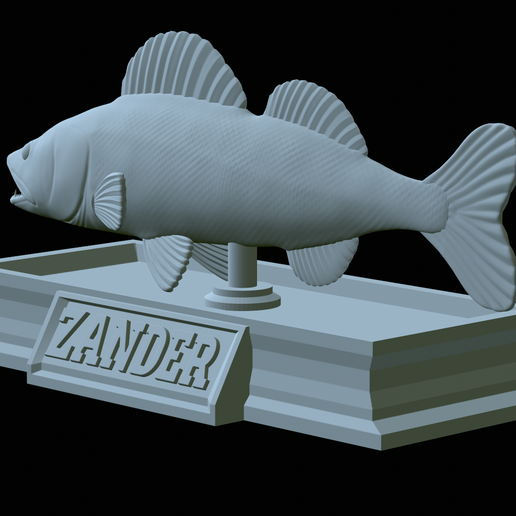 STL file fish zander / pikeperch / Sander lucioperca open mouth statue ...