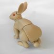 STL file Rabbit BJD 🐇 ・3D print design to download・Cults