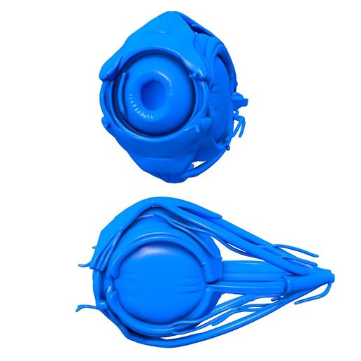👁️ Eye Anatomy / eye printer / eye 3d / eye stl / anatomy stl / anatomy ...