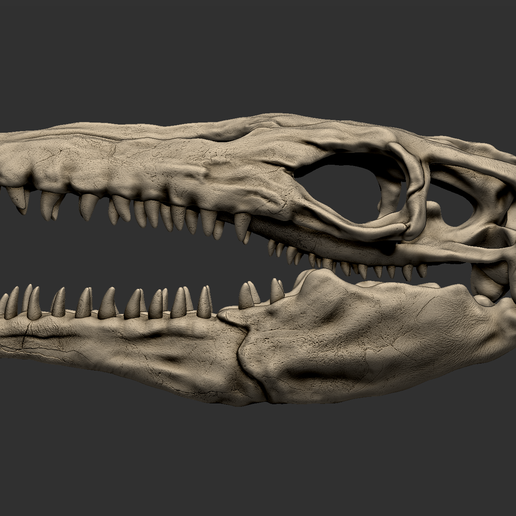 💀 Mosasaurus Skull・ STL File for 3D printing・Cults