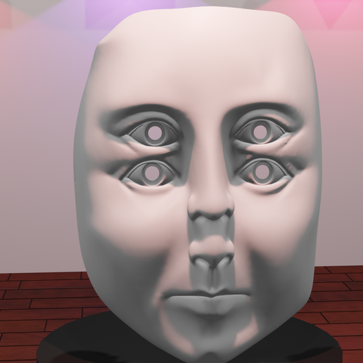 illusion double face