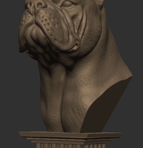 👤 American Bully Bust 3D printed・ STL File for 3D printing・Cults