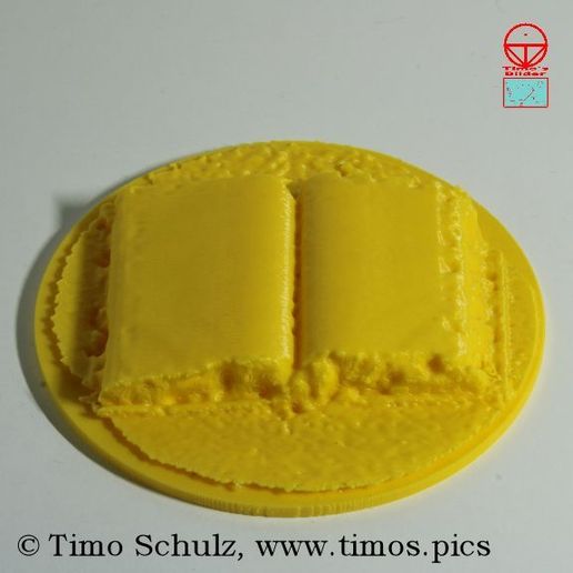 Free STL file my first 3D scan "The Bible" 🩻 ・3D printer design to ...