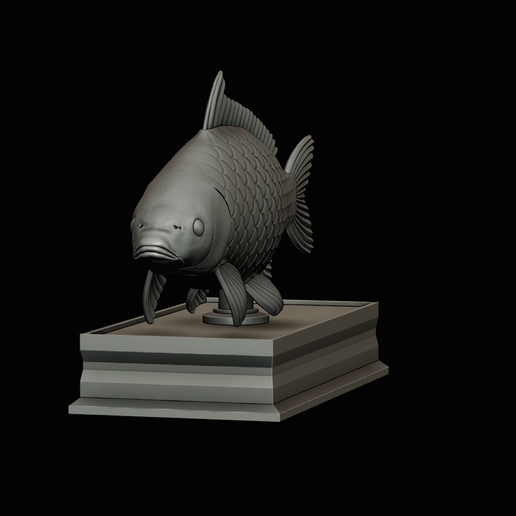 STL file fish carp / Cyprinus carpio with storage space / for 3d ...