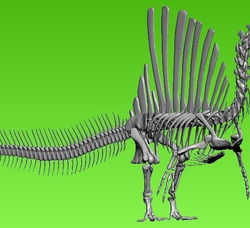 STL file Skeleton animal statue - 3D print 💀 ・Template to download and ...