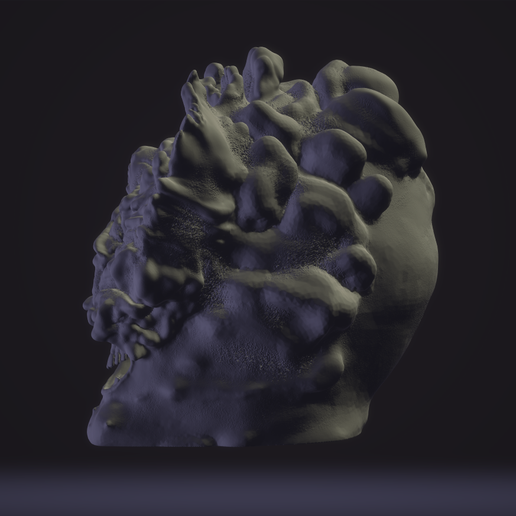 🎧 Clicker Headphone Head - 3D Printed Headphone Stand Bust, The last of ...