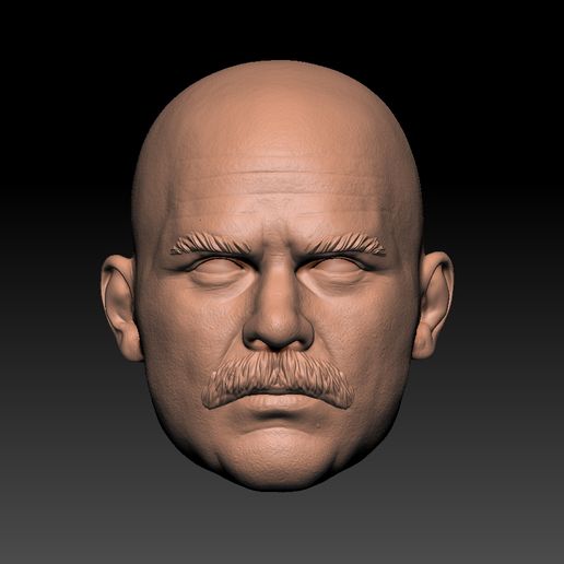 🦸 WWE Dax Harwood Action Figure Custom Head・ STL File for 3D printing・Cults