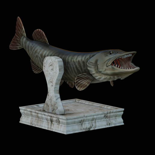 STL file fish pike muskellunge muskie / Esox masquinongy in motion 2 ...