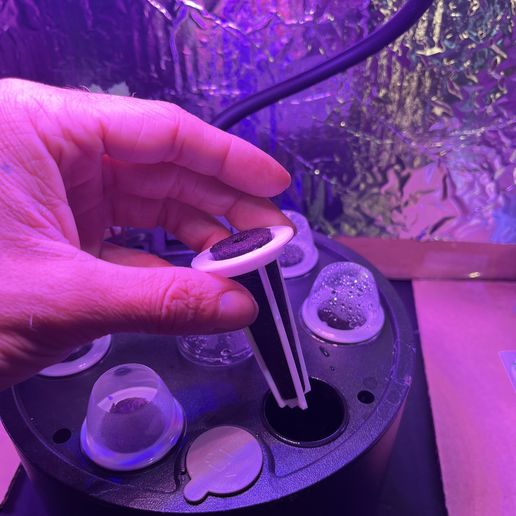 STL file 1" Net Cup for IDOO OR AEROGARDEN HYDROPONICS 🌿 ・Model to ...