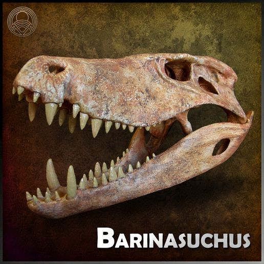 💀 Land croc: Barinasuchus skull・ 3D File for 3D printing・Cults