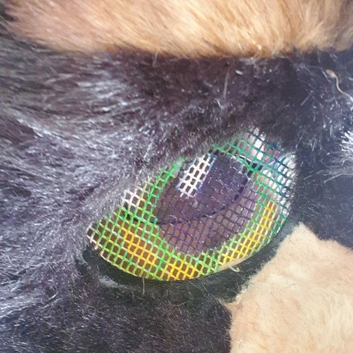 🐻 3D Bear Mask Printable Files - Create Your Unique Mask with These ...