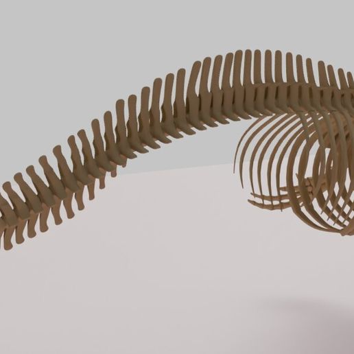 🐳 Killer Whale Skeleton Anatomy 3D Model Showing Complete Orca Bone ...