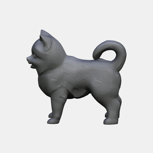 STL file Pomeranian Spitz Figure Dog 🐕 ・3D print model to download・Cults