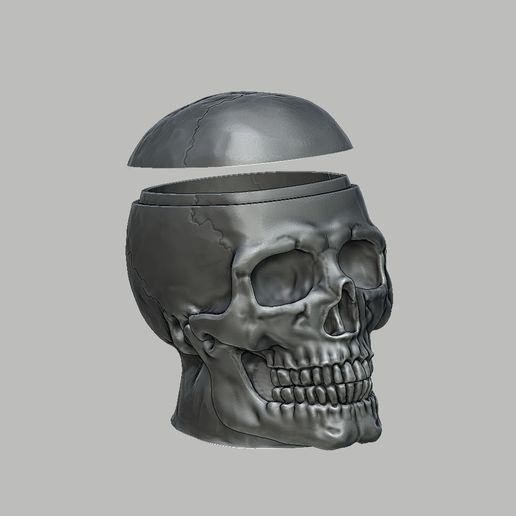 💀 skull container, skull head container,human skull, container, Perfect ...