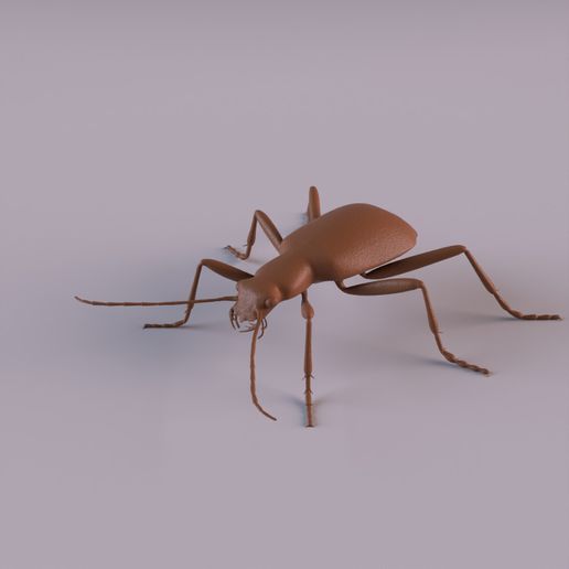🪲 Bombardier beetle・ STL File for 3D printing・Cults