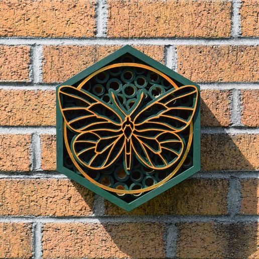 🐛 Bug box with a butterfly front・ STL File for ・Cults