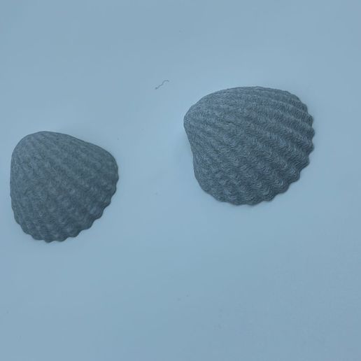 3D printed Sea shell・Cults