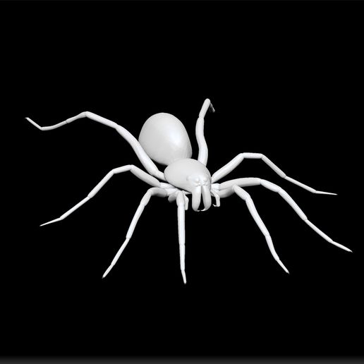 STL file Spider 🕷️ ・Model to download and 3D print・Cults