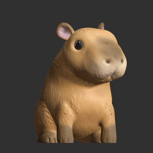 STL file CAPYBARA CAPYBARA RONSOCO 🐉 ・3D printing idea to download・Cults