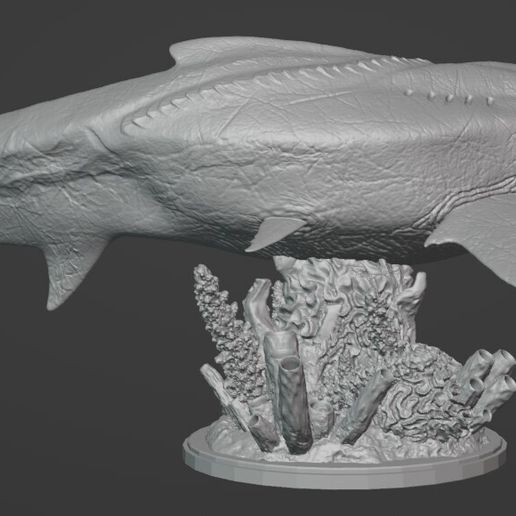 🦈 Akula Avatar : Shark : Shark・ STL File for ・Cults
