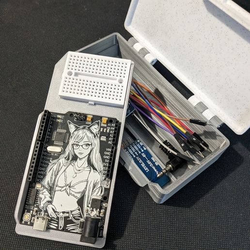 Free 3d File Assduino Cover Sexy Anime Development Arduino Uno Board