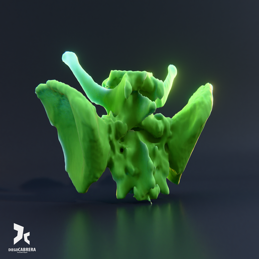 🦴 Animal bone tail・Free STL File for 3D printing・Cults