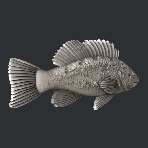 🐠 Rockfish・ STL File for ・Cults