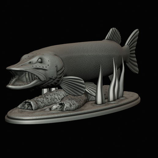 🐠 fish NORTHERN PIKE (ESOX LUCIUS) in motion 2 natural base detailed ...