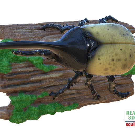🪲 Hercules Beetle on the Mossy Trunk 3D printable model・Free 3D File ...