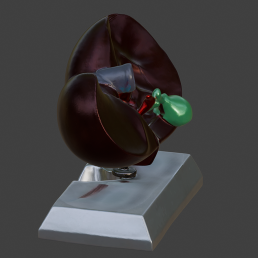 💊 3D Model of Human Liver Anatomy v3・ STL File for 3D printing・Cults