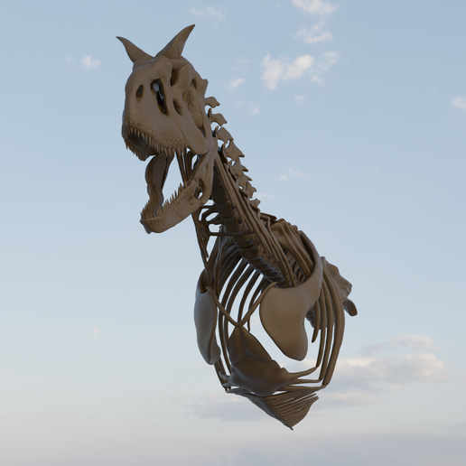 carnotaurus skeleton 3d