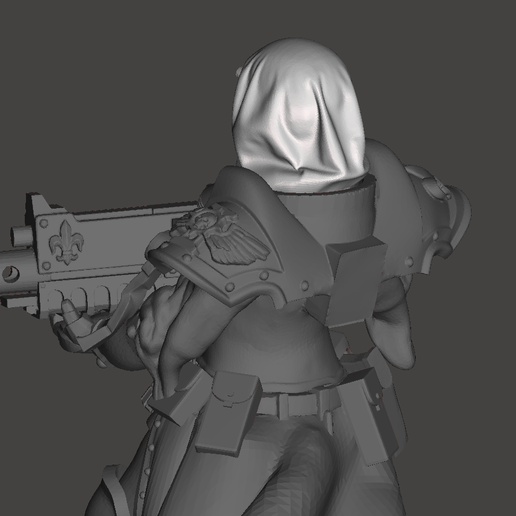 🎲 Sister of Battle Hooded Head・Free STL File for ・Cults