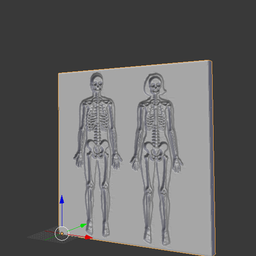 Free STL file medical anatomy ⚕️ ・Object to download and to 3D print・Cults