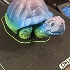 3D print Tortoise Articulated Fidget Figure, 3mf included, cute flexi ...