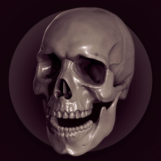 STL file Skull 💀 ・3D printer model to download・Cults