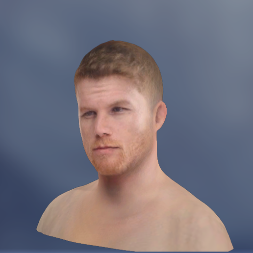 3D file CANELO 🥊 ・3D printable model to download・Cults