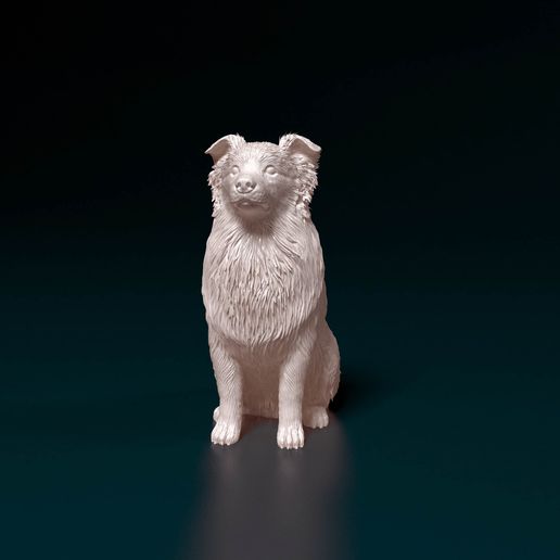 🐕 Aussie 05・ STL File for 3D printing・Cults