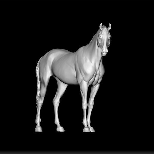 STL file horse realistic for resin 3d print 🐎 ・3D printable model to ...