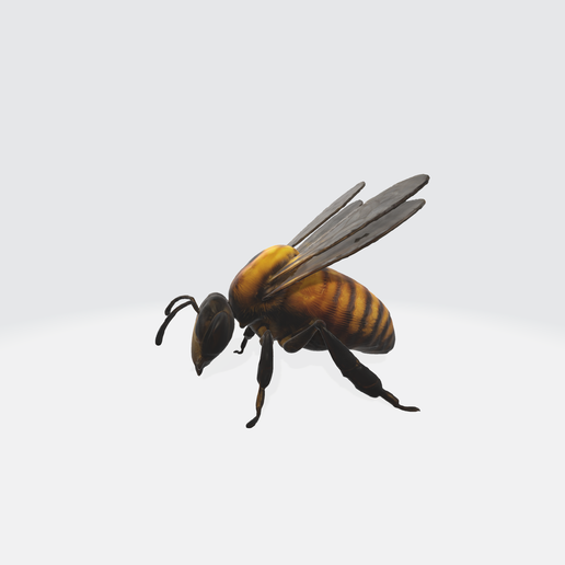 🐝 Realistic 3D Bee Model - Insect Asset・ 3D File for 3D printing and Electronics - PCB・Cults