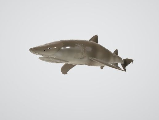 🍋 Lemon shark・ STL File for 3D printing・Cults