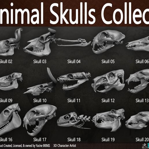 🦛 20 Animal Skulls Collection Volume 01・ 3D File for 3D printing・Cults
