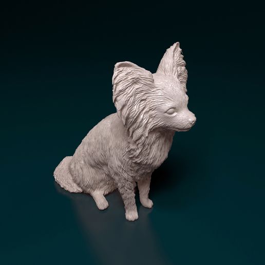 🐕 Papillon・ STL File for 3D printing・Cults