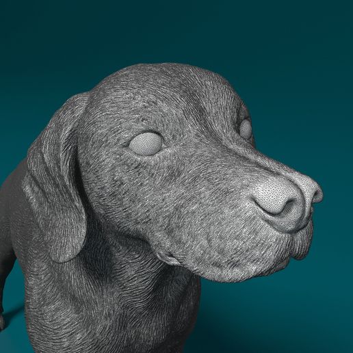 STL file Beagle 🐕 (OBJ)・3D print design to download・Cults