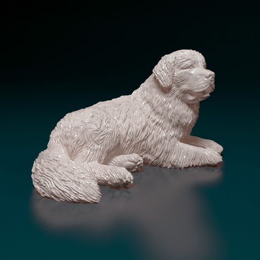 STL file Newfoundland dog 🐕 (OBJ)・3D printable design to download・Cults